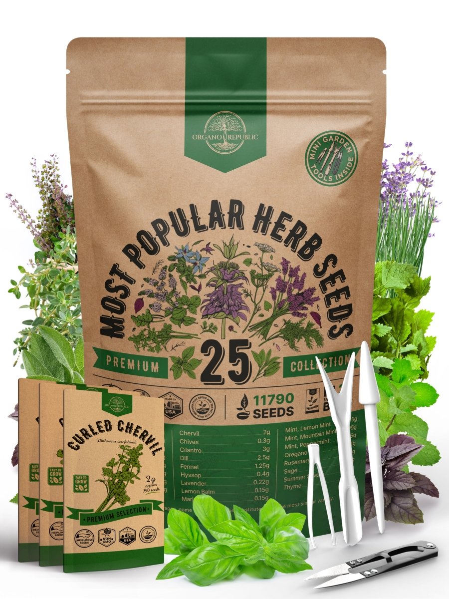 25 Most Popular Herb Seeds Variety Pack for Planting Indoor & Outdoors ...