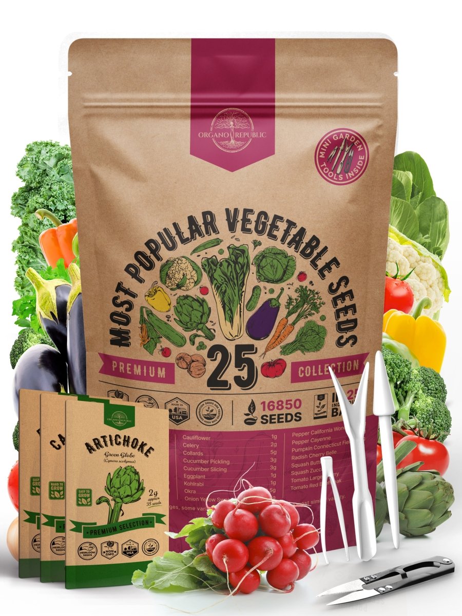 25 Most Popular Vegetables Seeds Variety Pack - Heirloom, Non-GMO ...