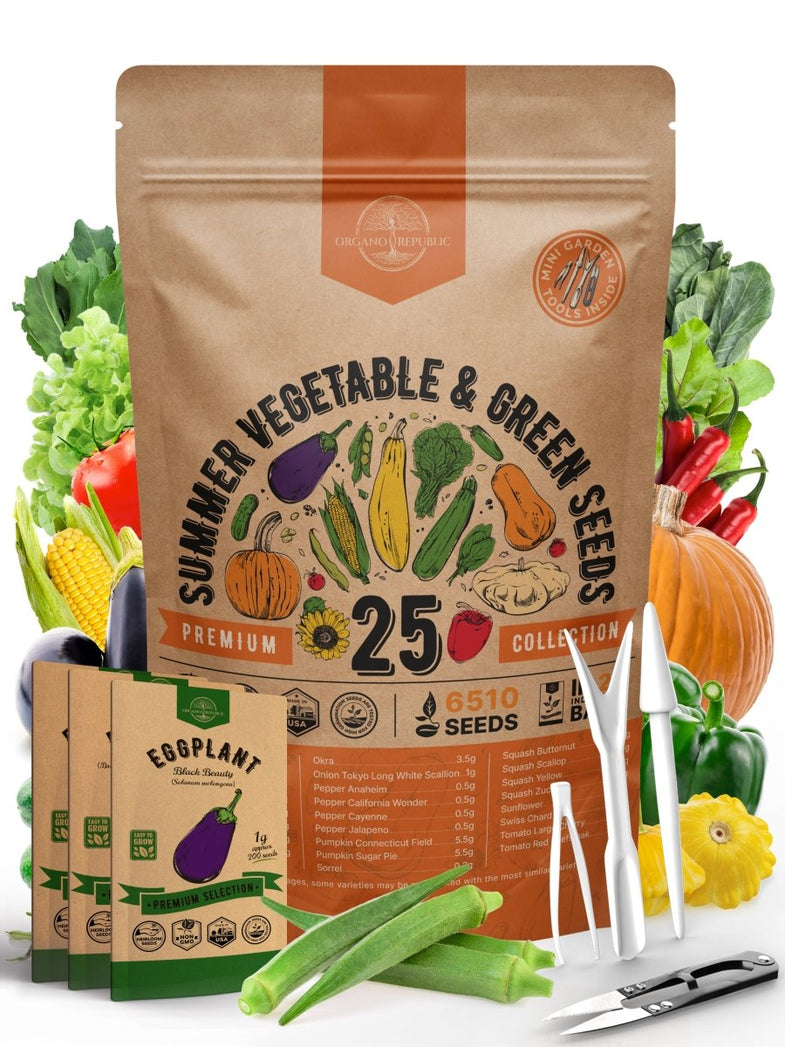 Vegetable seeds - Buy Online Vegetable seeds at the Best Price from ...