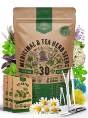 30 Herb Seeds - Medicinal & Tea Variety Pack 15,500+ Non GMO Heirloom ...