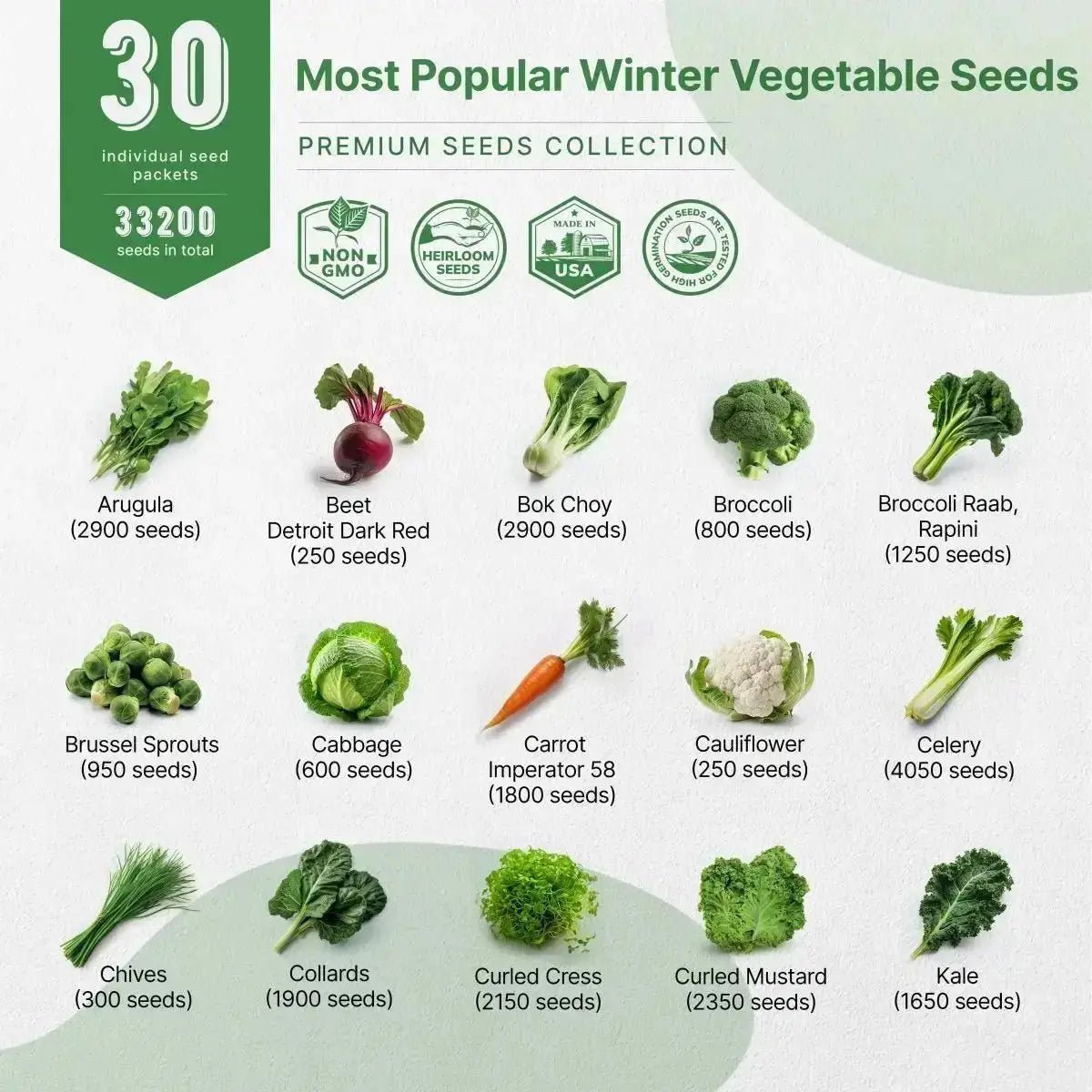 30 Most Popular Winter Vegetable Seeds Variety Pack - Buy Online at the ...
