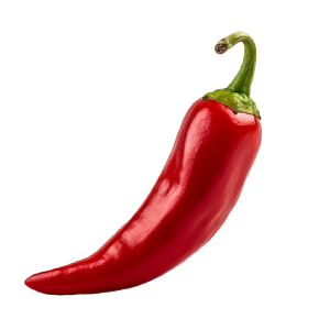 Hot Pepper Small Red Chili - 0.25G – Organo Republic