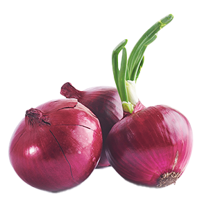 Onion Violet de Galmi - 1G – Organo Republic