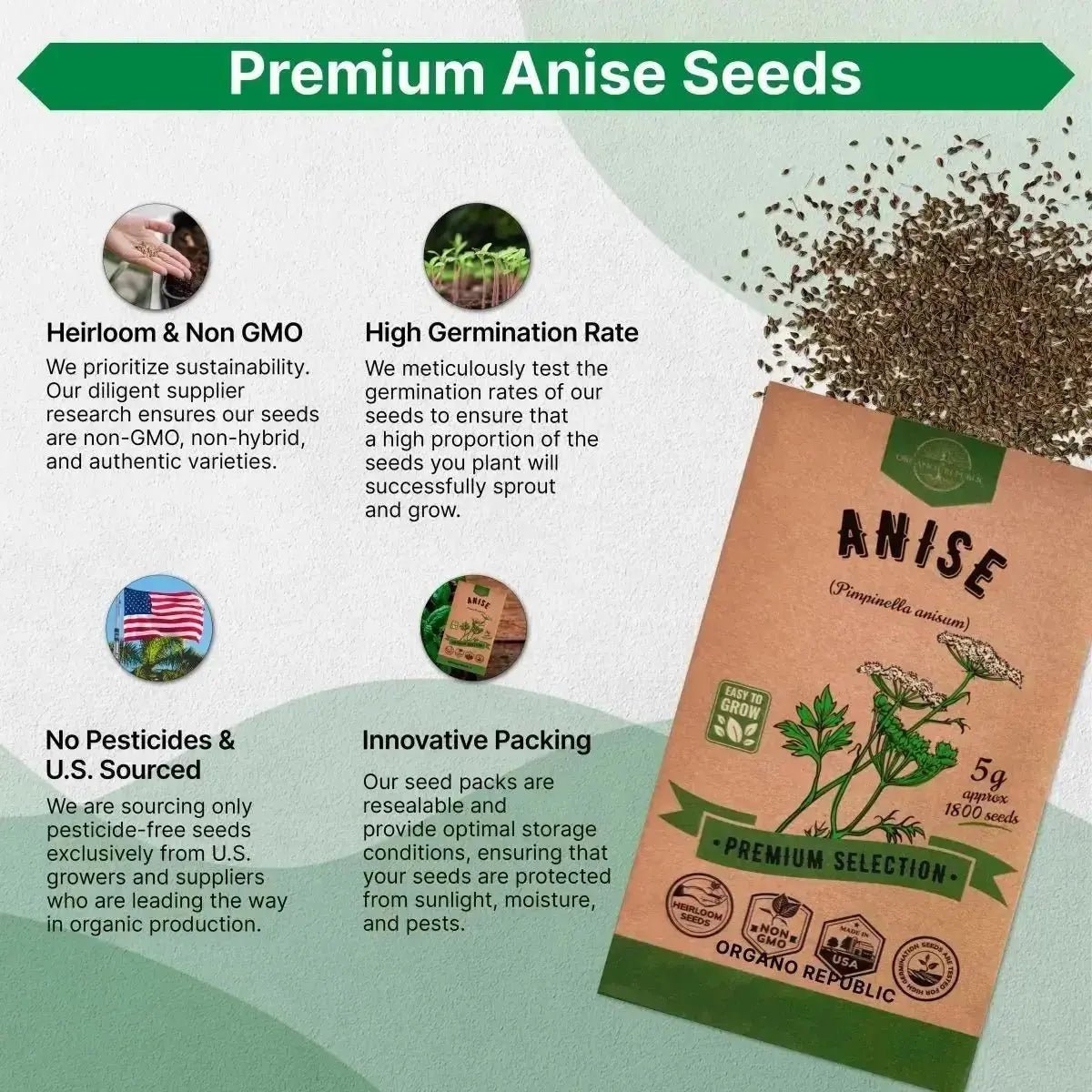 Anise Seeds Pack 5G - Buy Online at the Best Price $5.99 from Organo ...