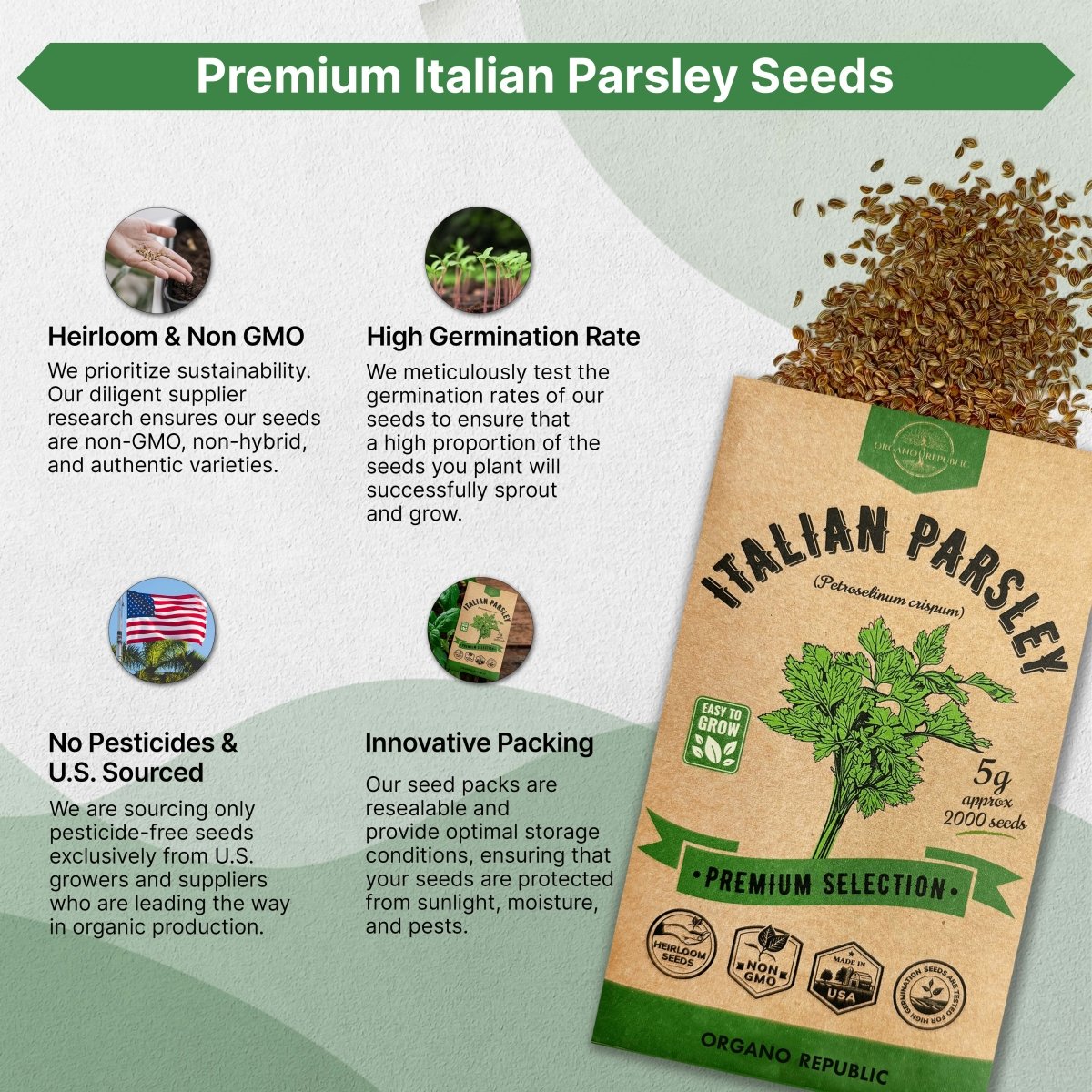 Italian Parsley Seeds Pack 5G - Buy Online at the Best Price $7.49 from ...