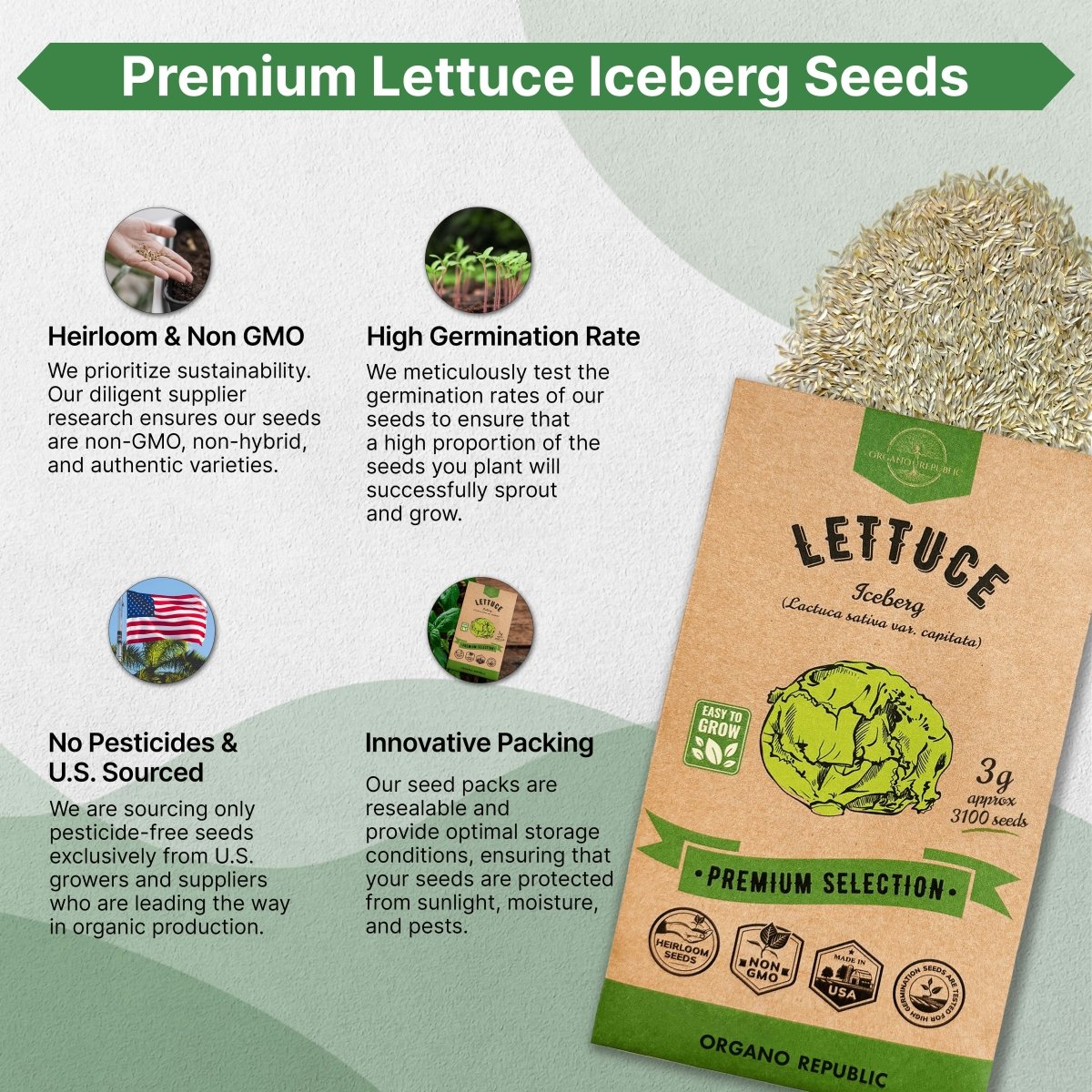 Lettuce Iceberg Seeds Pack 3G - Buy Online at the Best Price $5.49 from ...