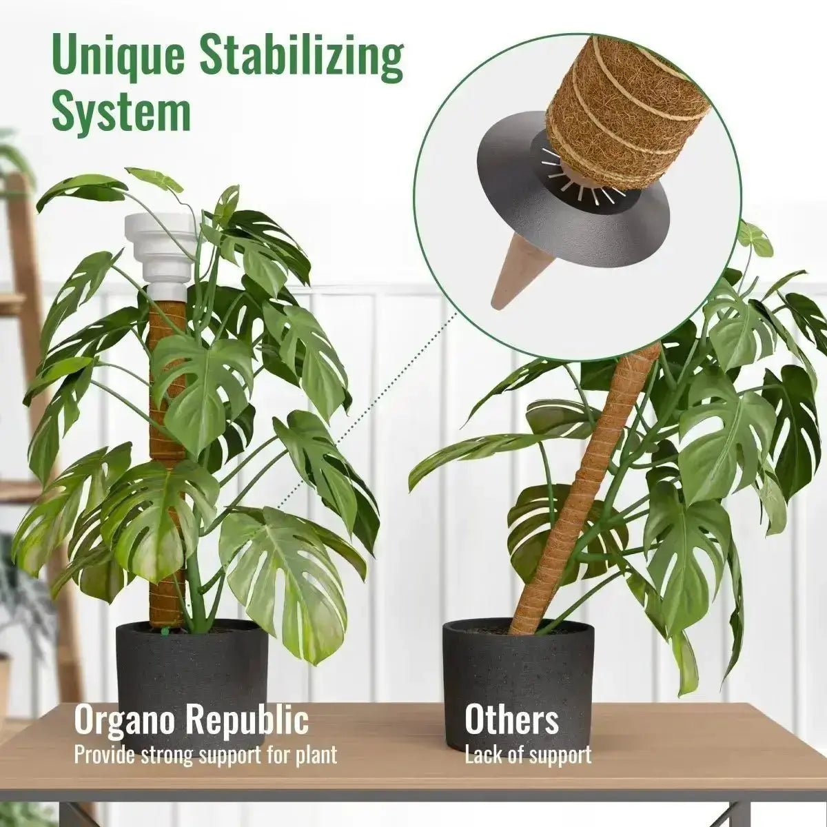 Monstera Plant Support - 26.4" Self-Watering Extendable Moss Pole
