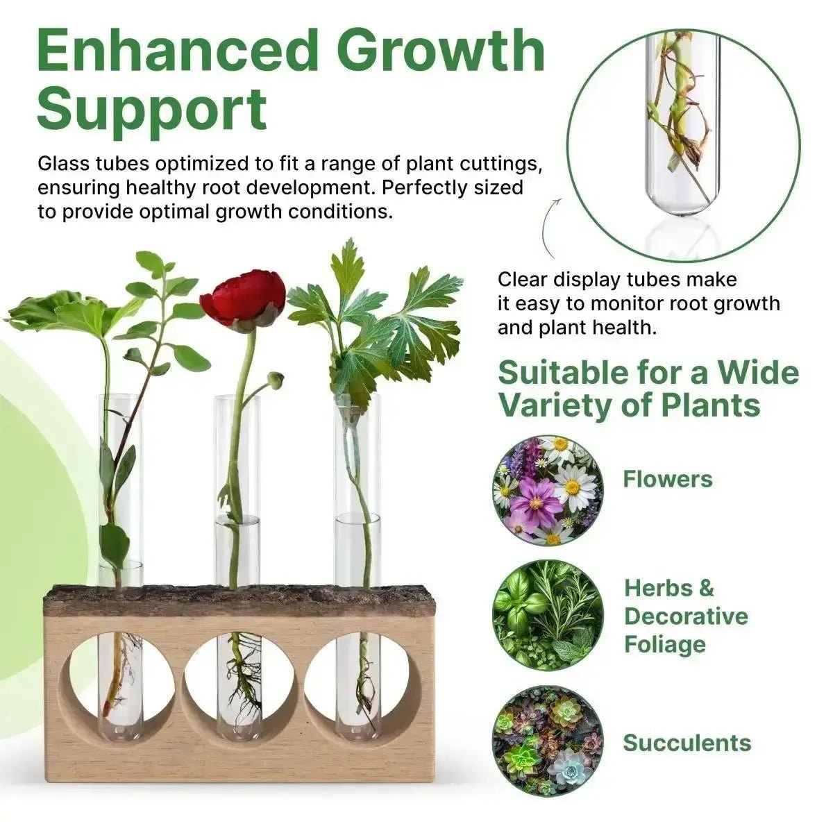 Plant Propagation Station 3 Glass Tube Wooden Stand Plant Terrarium fo