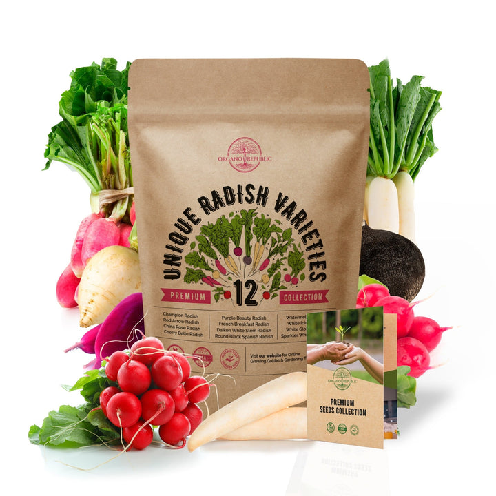 10 Rare Beet Seeds Variety Pack - Over 1000 Non-GMO, Heirloom Seeds ...