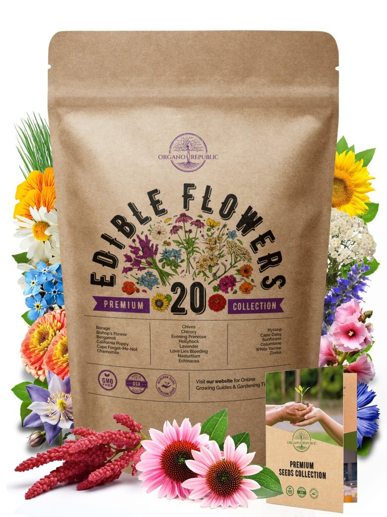 Flower Seeds – Organo Republic